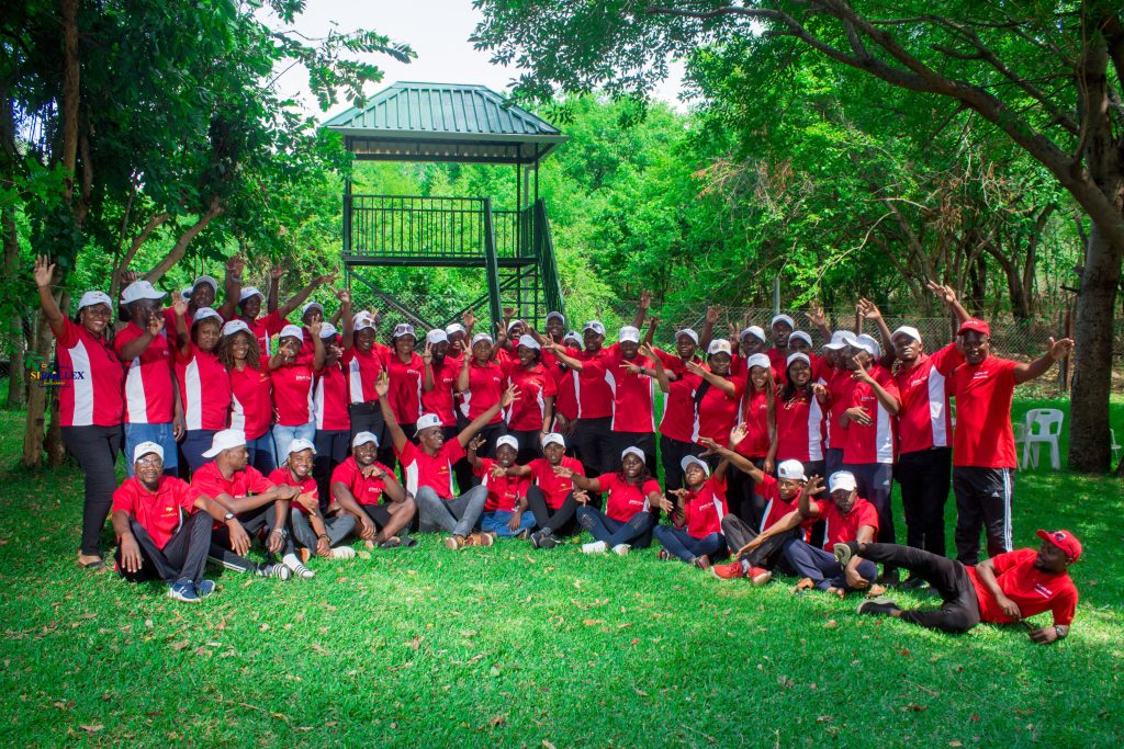 About Us – Pandi Energy